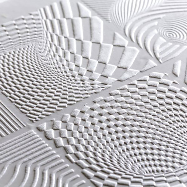 Versatile Braille and 3D TactPlus thermal printer for the blind