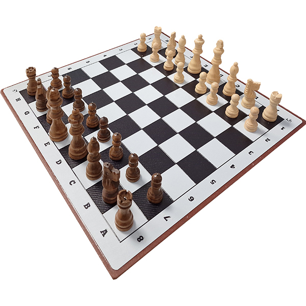 Tactile and Magnetic Chess Set for the Blind or Visually Impaired